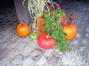 Pumpkin Colors, Exciting Colors For Fall Decorating.